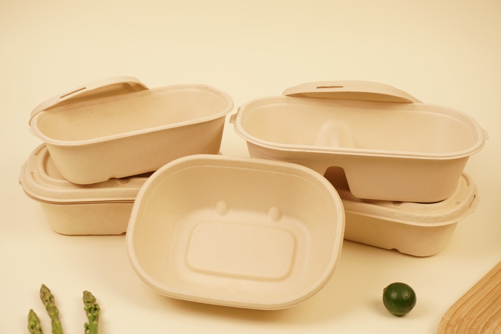 Eco-Friendly Disposable Bento Box with Lid | Sugarcane Fiber Bento ...