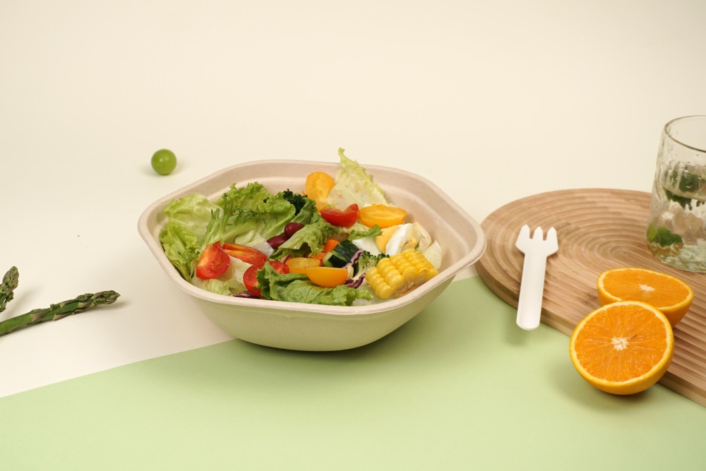 Bagasse Salad Bowls | Compostable Disposable Salad Containers in Bulk