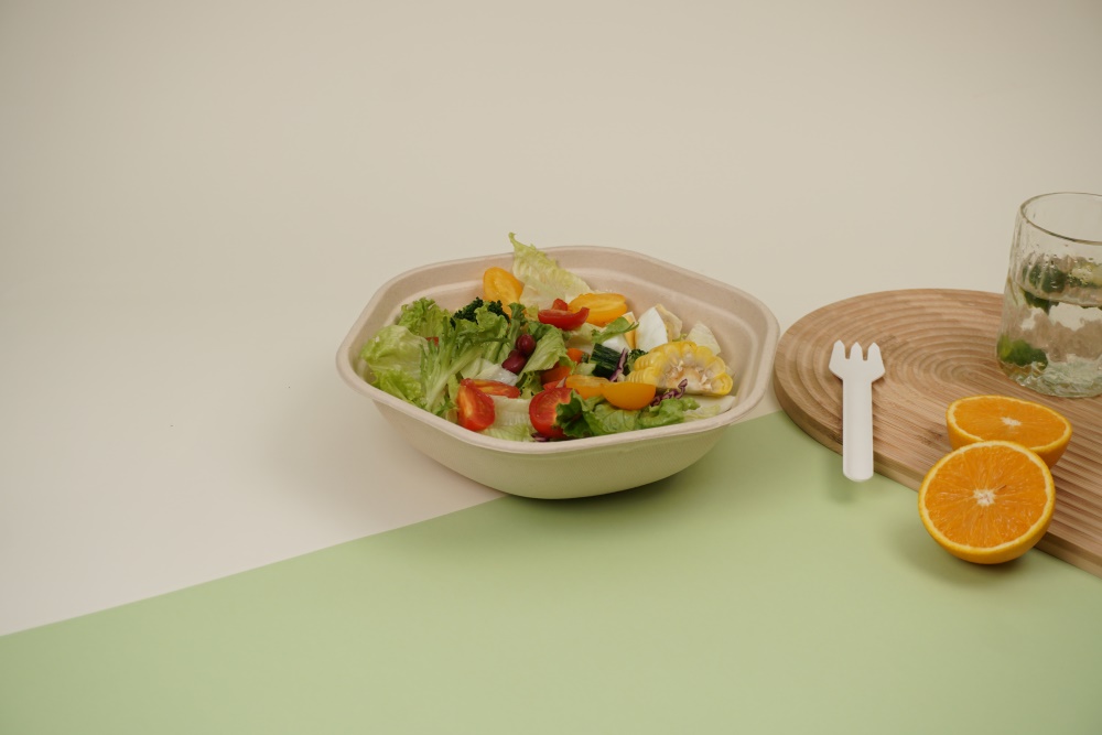 Bagasse Salad Bowls | Compostable Disposable Salad Containers in Bulk