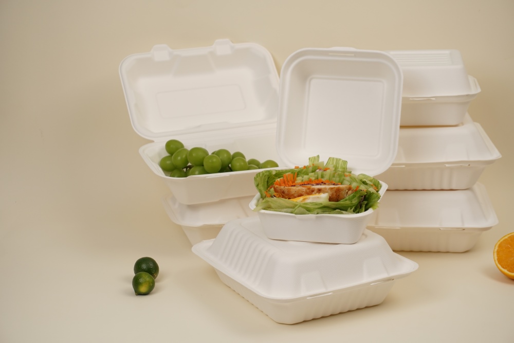 Biodegradable Clamshell Containers | Clamshell Packaging Wholesale