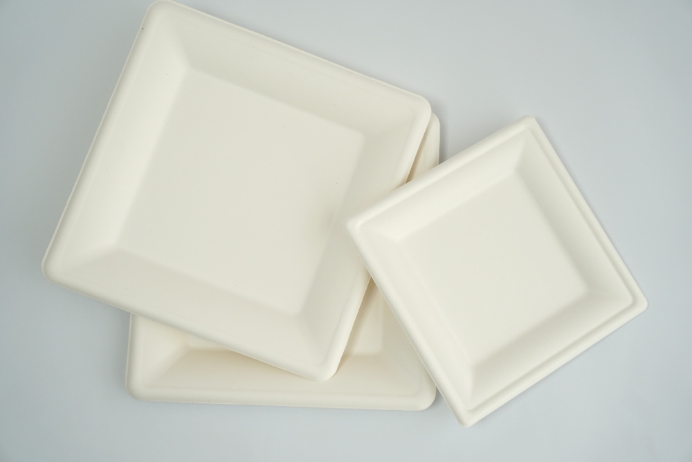 Elegant Disposable Plates | Heavy Duty Square Bagasse Plates for Any ...