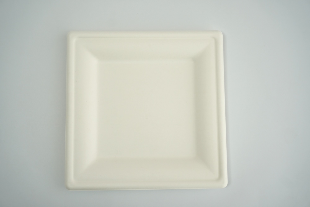 Elegant Disposable Plates | Heavy Duty Square Bagasse Plates for Any ...