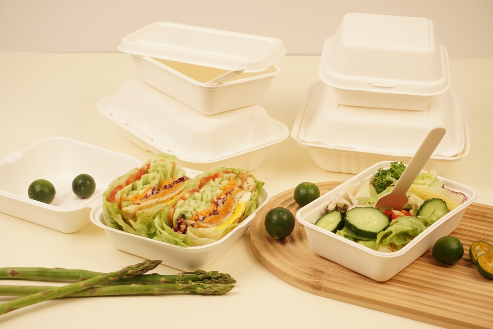 Eco-Friendly Disposable Bento Box with Lid | Sugarcane Fiber Bento ...