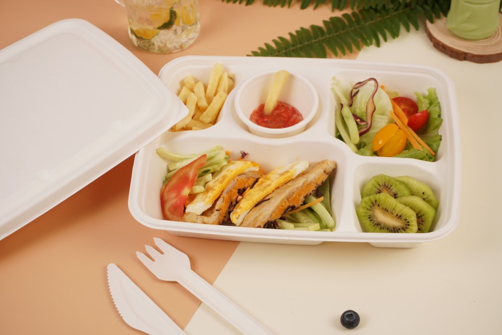 Bagasse Lunch Trays | Biodegradable Restaurant & Cafeteria Trays Wholesale