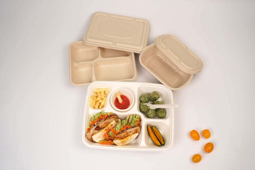 Bagasse Lunch Trays | Biodegradable Restaurant & Cafeteria Trays Wholesale
