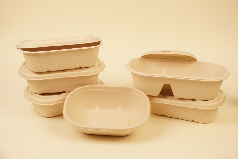 Eco-Friendly Disposable Bento Box with Lid | Sugarcane Fiber Bento ...