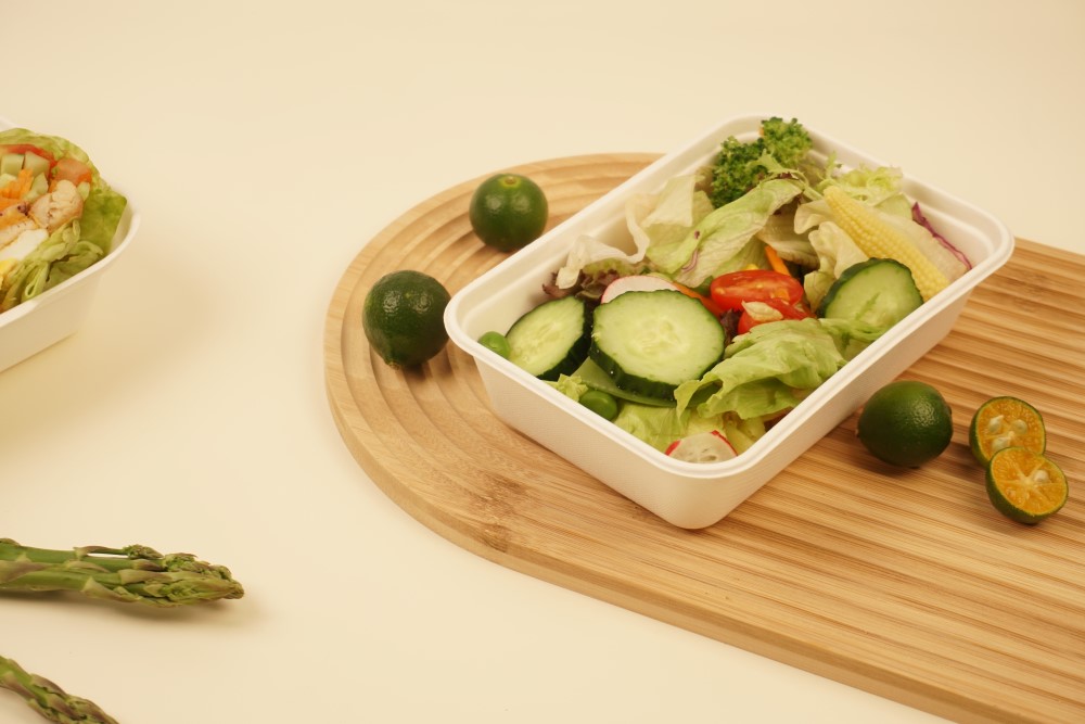 Eco-Friendly Disposable Bento Box with Lid | Sugarcane Fiber Bento ...