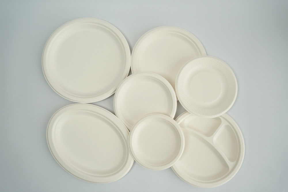 How to Select the Right Disposable Plate Size