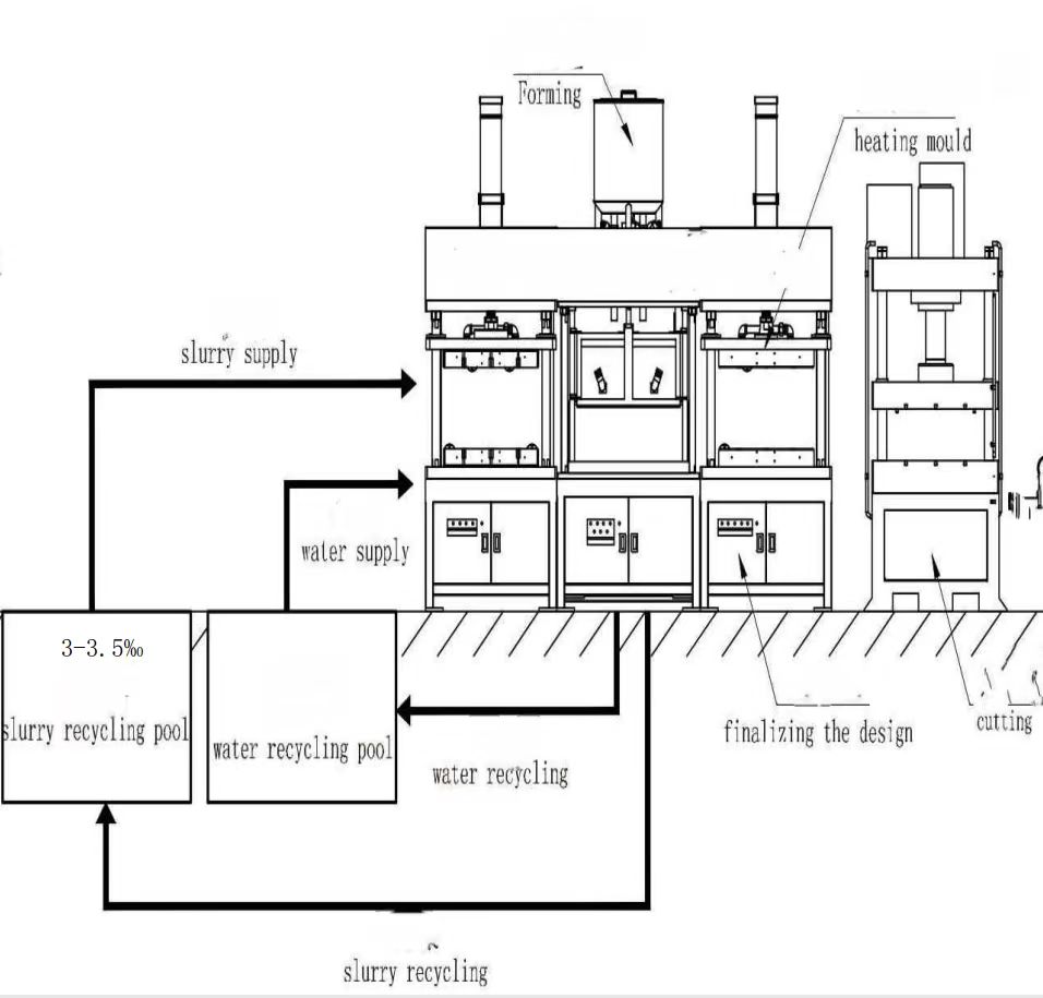 The Production Process of Pulp Molding - InNaturePack