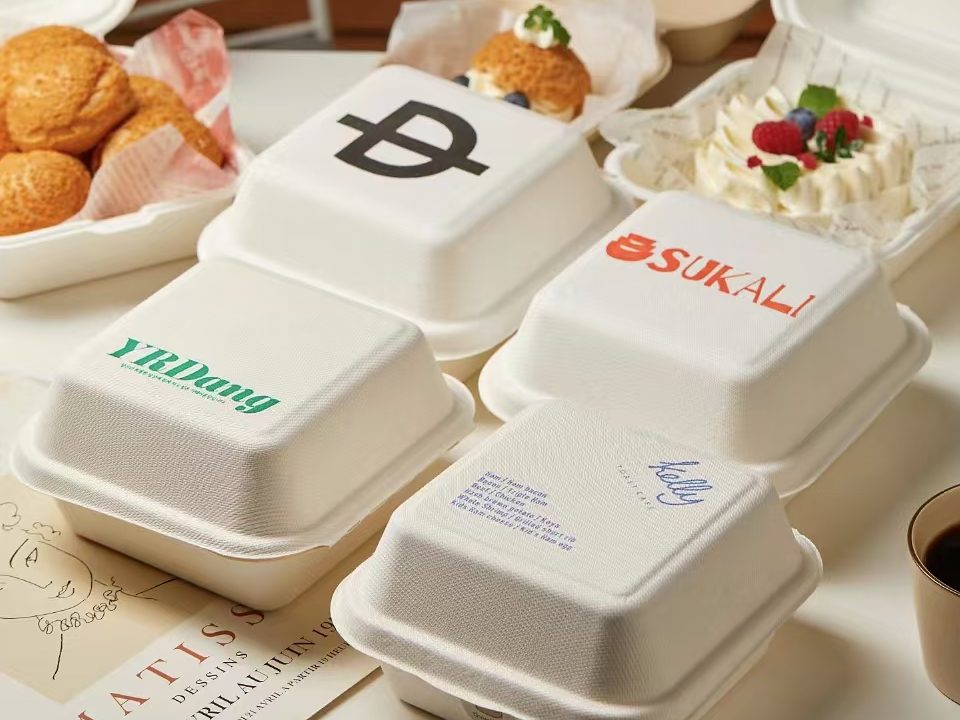 Clamshell Packaging for Food: Benefits, Materials, and Sustainability ...