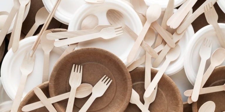 How to Start a Sustainable Tableware Business and Tap into the Green ...
