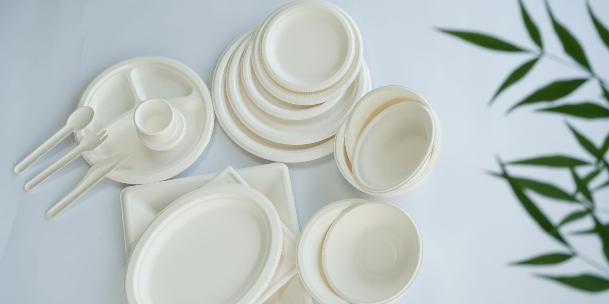 Why Compostable Tableware is Essential for Planning a Sustainable Event ...