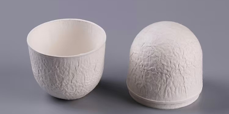 Molded Pulp Packaging for Supplements: Trends, Design Freedom, and Real ...